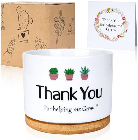 Amazon.com : DOMG Teachers Appreciation Gift, Ceramic Succulent Plant ...
