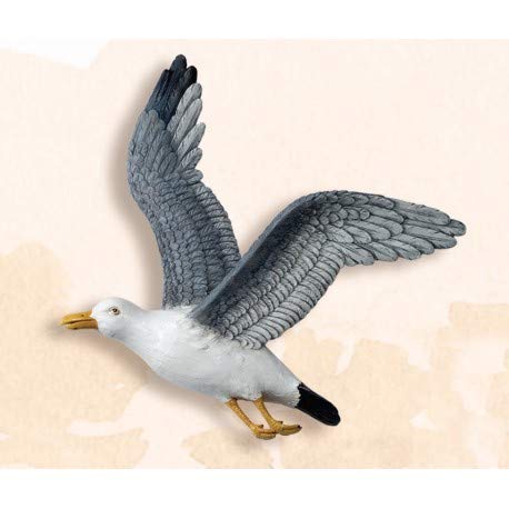 Seagull Wall Plaque : Amazon.in: Home & Kitchen