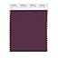 PANTONE Smart 19-2030X Color Swatch Card, Beet Red - House Paint ...