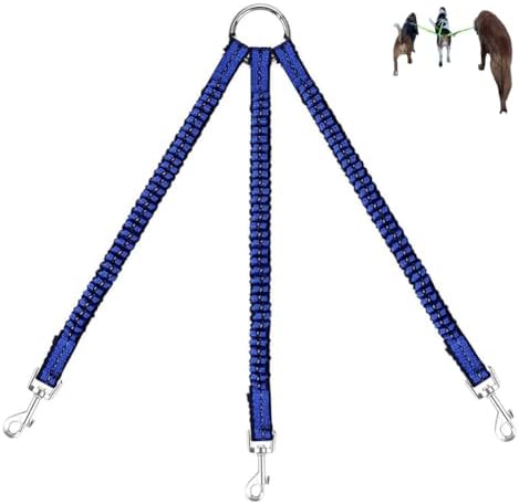 Amazon.com : Bungee Triple Dog Coupler Leash Tangle Free 3 Three Way ...