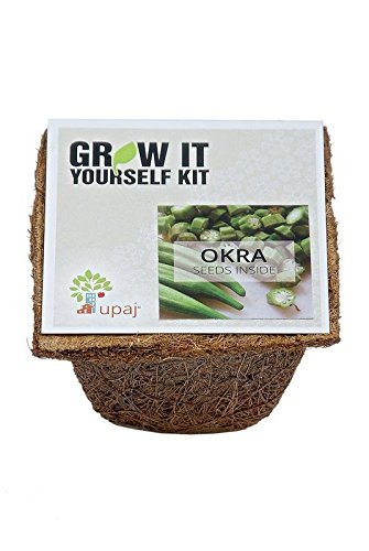 Upaj Grow It Yourself Small Veg Okra Seed with Biodegradable pot for ...