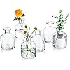 Amazon.com: Glasseam Glass Small Bud Vases: Mini Clear Vase Set of 6 ...