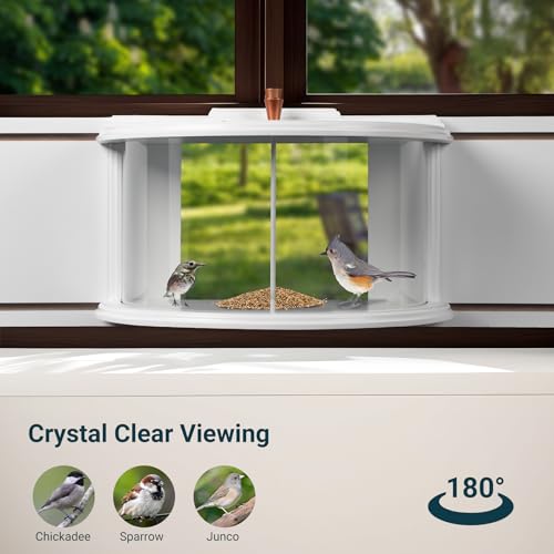 Snapklik.com : Window Bird Feeder, 180Clear View Window Tray Bird ...