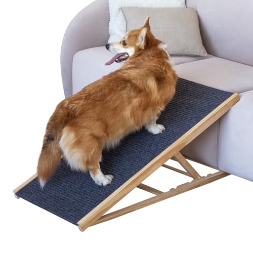Indoor Dog Ramp For Large Dogs 2023 - Vet Ranch - We Love Pets