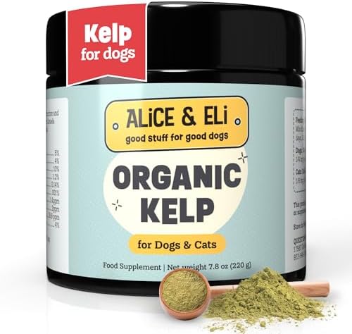 Amazon.com : Alice & Eli Organic Kelp Powder for Dogs – Supports ...