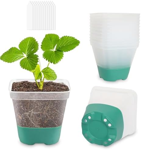 Amazon.com: RGJ 30 Packs 4 Inch Reinforced Clear Nursery Pots for ...