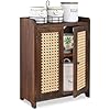 Amazon.com: Ikee Design Wooden Countertop Storage Cabinet with Magnetic ...