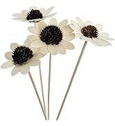 Amazon.com: Yimisya 9Pcs Reed Diffuser Sticks Set, Rattan Reed ...