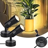 The 10 Best Led Focus Light