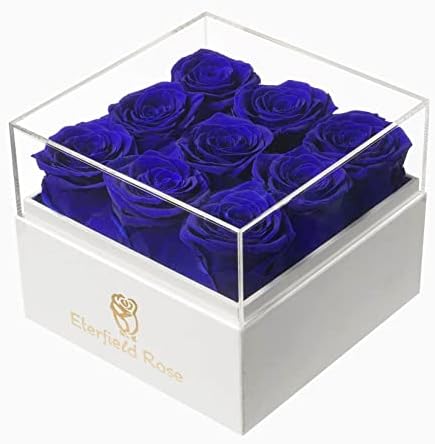 Amazon.com: Eterfield Preserved Roses That Last a Year Eternal Rose in ...