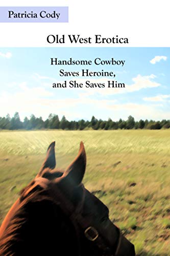 Old West Erotica: Handsome Cowboy Saves Heroine, and She Saves Him ...