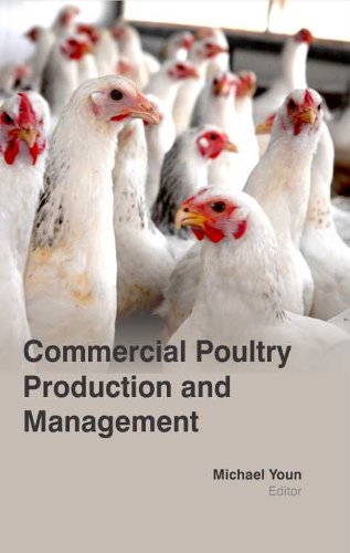 Commercial Poultry Production & Management: 9781781630914: Amazon.com ...