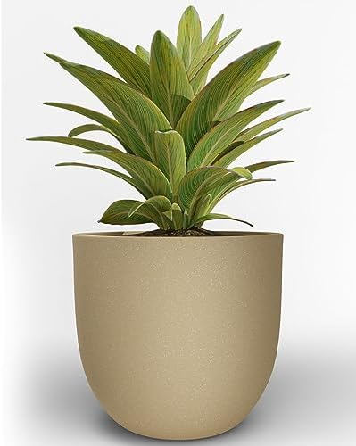 YUCCABE ITALIA FOXB VNR 24 INCH Pots for Plants Highly Durable Polymers ...