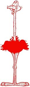 Amazon.com - Ostrich Birds Decal Sticker (red), Decal Sticker Vinyl Car ...