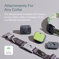 Amazon.com: Whistle GO Explore GPS + Health + Fitness Dog Tracker Plus ...