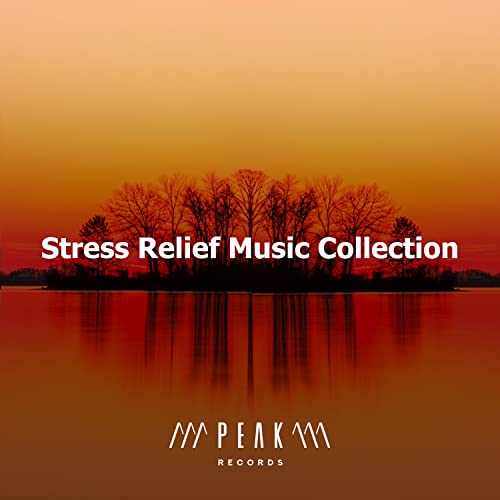 Amazon.com: Stress Relief Music Collection : Relaxing Music for Stress ...