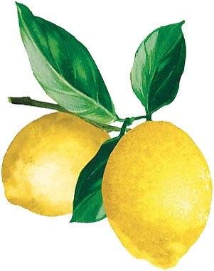 Amazon.com: Lemon - Sticker Graphic - Auto, Wall, Laptop, Cell, Truck ...
