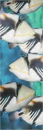 Huma Picasso Triggerfish 1 Art Print Poster by Melinda Bradshaw ...
