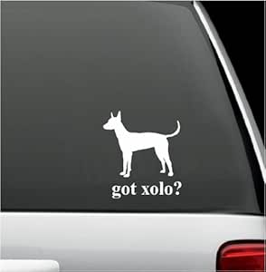 Amazon.com: got xolo? 5" X 6" Dog White Decal Sticker Vinyl : Sports ...