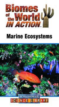 Amazon.com: Biomes of the World in Action: Marine Ecosystems DVD ...