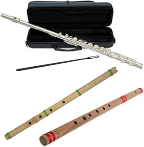 Amazon.com: World Woodwind Pack - Silver Plated Closed Hole C Flute w ...