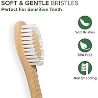 Amazon.com : VIVAGO Biodegradable Bamboo Toothbrushes 10 Pack - BPA ...