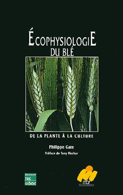Ecophysiologie Du Ble : De La Plante A La Culture: Amazon.co.uk: Gate ...