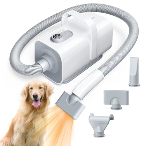 6 Best Hair Dryers for Dogs in 2025 | Tech Consumer Guide