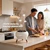 Amazon.com: Dynamic Jellyfish Diffuser, 250ML Cool Mist Humidifier with ...