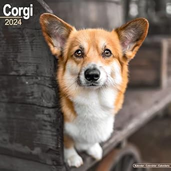 Corgi Calendar - Pembrook Welsh Corgi Calendar - Corgi Dog - Pembrook ...