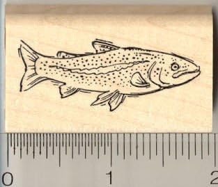 Amazon.com: Trout Rubber Stamp : Toys & Games