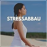 【発売日：2022年11月14日】・製造元:Ambient 1 Records