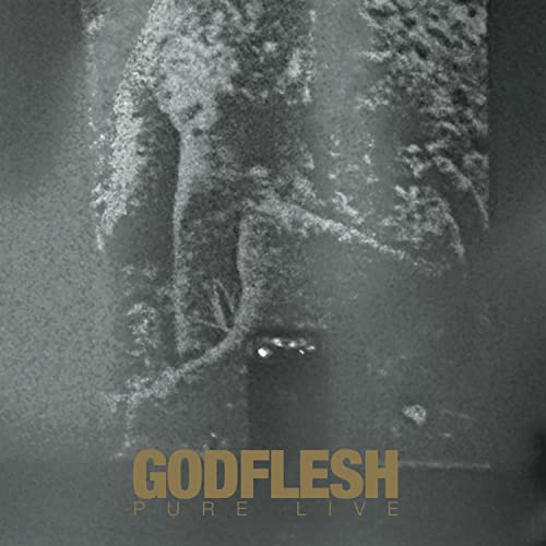 Amazon MusicでGodfleshのPURE Liveを再生する
