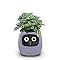 Smart Flowerpots,Smart Pet Planter,Ai Planter,Intelligent Flowerpots ...