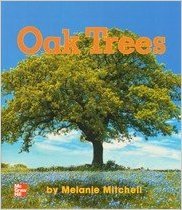 Amazon.com: Oak Trees [Big Book]: 9780021920983: Melanie Mitchell ...