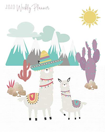 Amazon.com: 2020 Weekly Planner: 2020 Llama Planner - Mountain Desert ...
