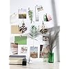 Amazon.com: 20 Pack Mini Self Adhesive Clips for Pictures - White Wood ...