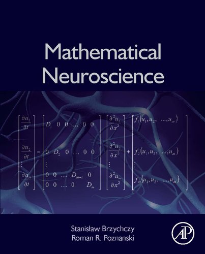 Amazon.com: Mathematical Neuroscience eBook : Brzychczy, Stanislaw ...