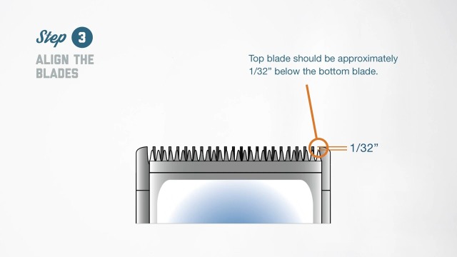 Watch How to Align Clipper Blades on Amazon Live