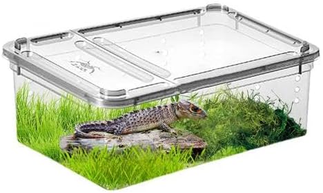 Reptile Feeding Box, Transparent Reptile Terrarium Box, Insects Feeding ...