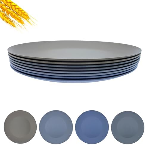 Amazon.com | LIYH 32pcs Grey Plastic Plates Reusable Unbreakable Dinner ...
