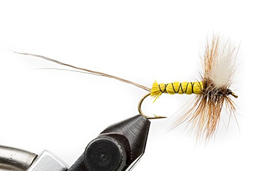 Hex Spinner 8: Fishing Equipment: Amazon.com: Industrial & Scientific