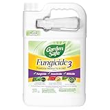 Best Aphid Insecticides For A Bug-Free Garden - ToolsNova