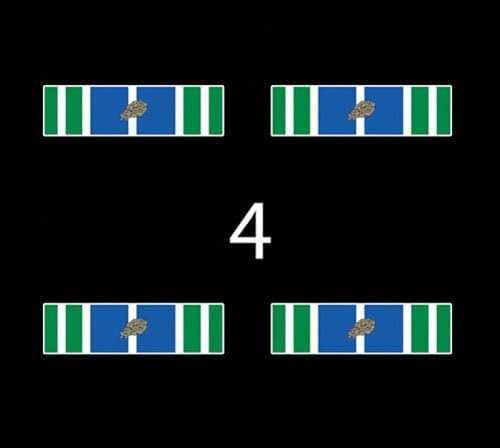 Amazon.com: US Army Ribbon Achievement Medal Ribbon with Bronze Oak ...