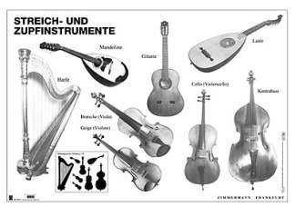 Streich- und Zupfinstrumente (Poster) : Amazon.de: Bücher