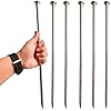 Amazon.com : FOMMEN Rebar Stakes 16 Inch Metal Spikes for Asphalt 1/2 ...