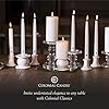Amazon.com: Colonial Candle Unscented Taper Candle, Classic Collection ...