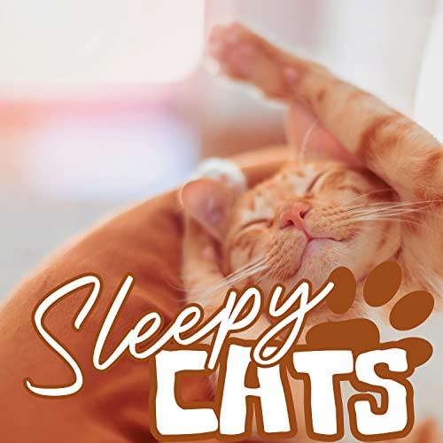 Amazon MusicでSleepy CatsのSleepy Catsを再生する