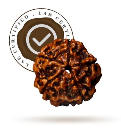 B and S Groups Real 5 Mukhi Rudraksha with Red Thread Natural Beads ...