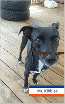 Mr. Kibbles eBook : Boardwine, Ben: Amazon.in: Kindle Store